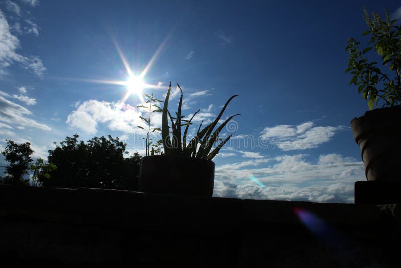 Sun Sine in the Sky with White Clouds and Down Some Tree Stock Image ...