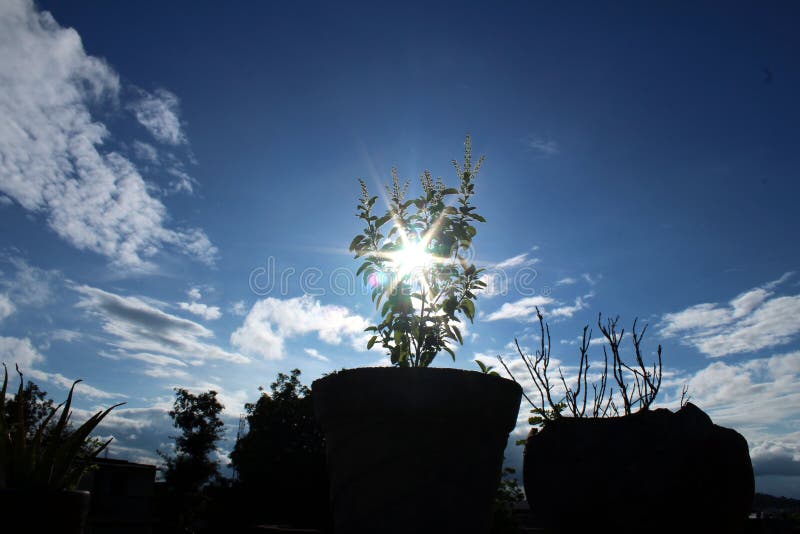 Sun Sine in the Sky with White Clouds and Down Some Tree Stock Image ...