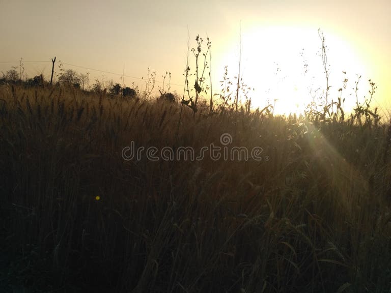 Sun sine in village stock image. Image of village, life - 167376549