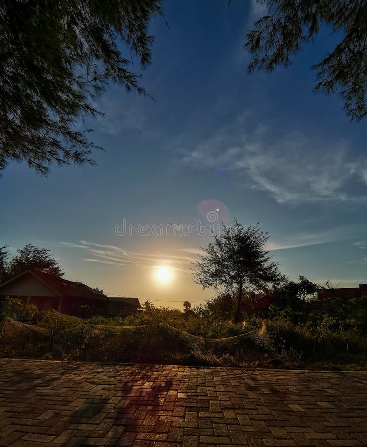 Sun on the Sky Blue and the Start Stock Image - Image of dusk, tree ...