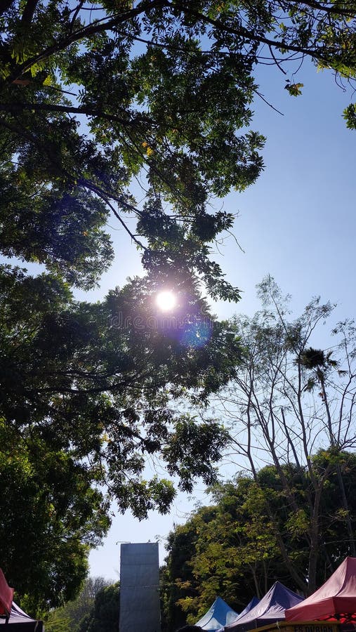 Sun Sky Cloud Shinning Summer Tree View Aesthetic Sunrice Stock Photo ...