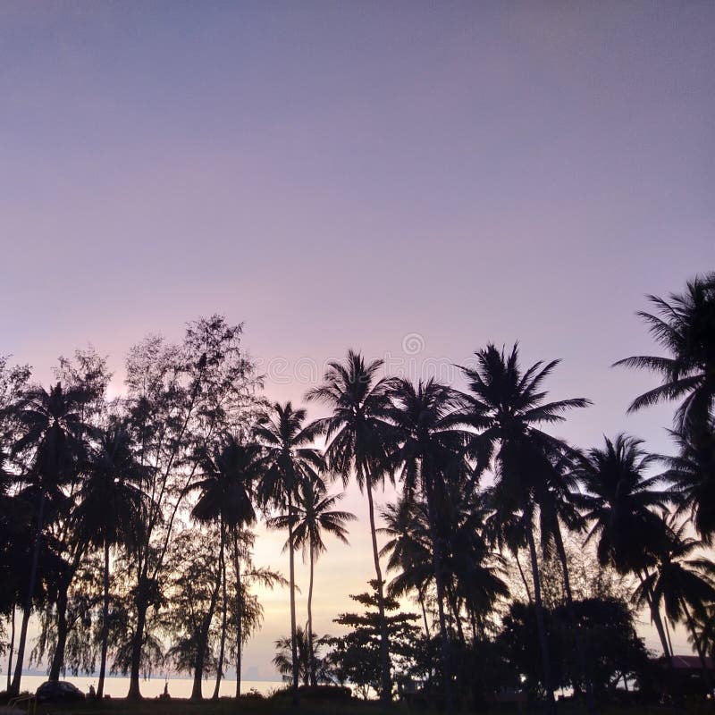 Sun Sky Sea Coconut Trees and Cloud Stock Photo - Image of horizon ...