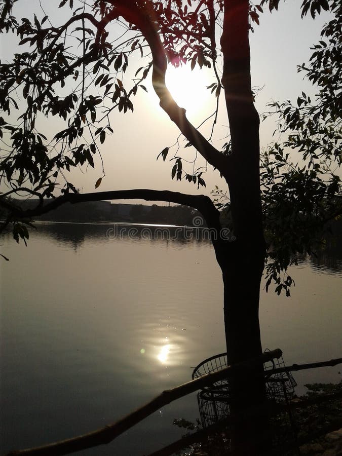 The Sun, the Sky, Tree and Water Stock Photo - Image of water, tree ...