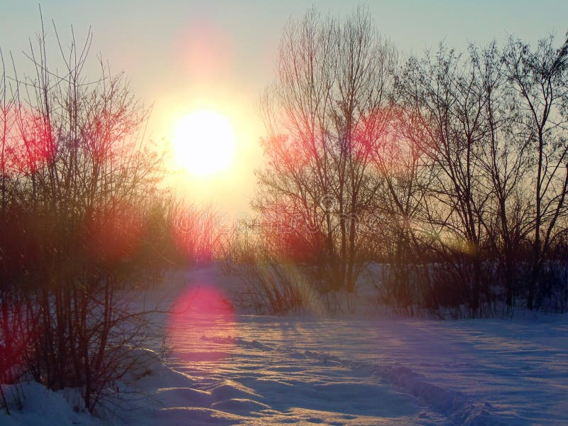The Sun in the Sky in Winter - Landscape Stock Image - Image of outdoor ...