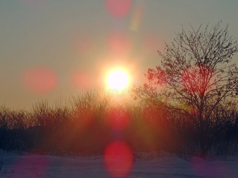 The Sun in the Sky in Winter - Landscape Stock Image - Image of winter ...