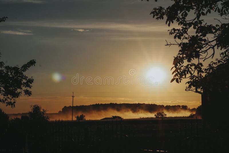 Sun and Smoke stock photo. Image of smoke, tree, clouds - 94514550