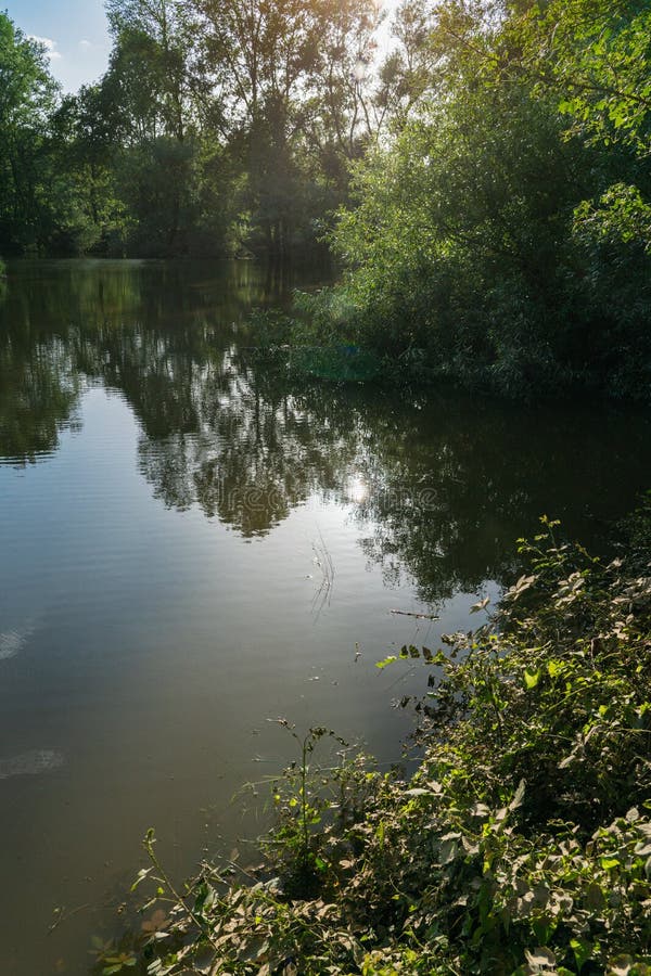 Sun on the Smooth Surface of a Lake Stock Image - Image of outdoors ...