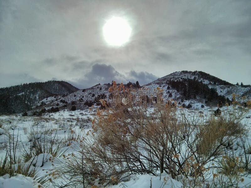 Sun and Snow stock image. Image of decay, feeds, evening - 42221941