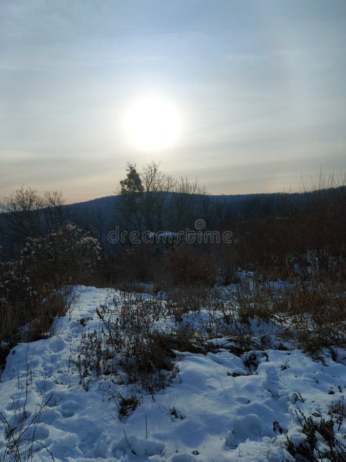 Sun and snow stock photo. Image of sunlight, snow, fruskagora - 218923844