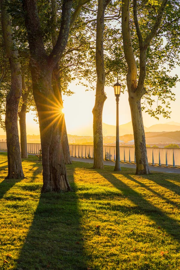 Sun Star Multi Pointed in an Urban Park Background Stock Photo - Image ...