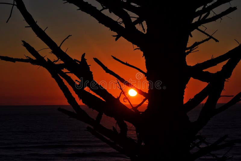Sun Stetting Over the Ocean Stock Photo - Image of ocean, oregon: 96539108