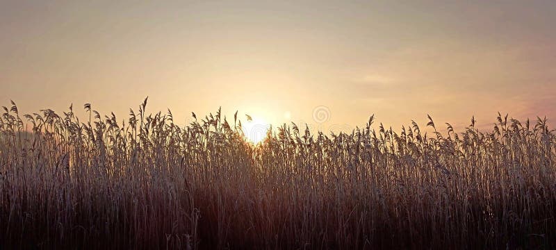 2105.the Sun is Still in the Sky Stock Photo - Image of light ...