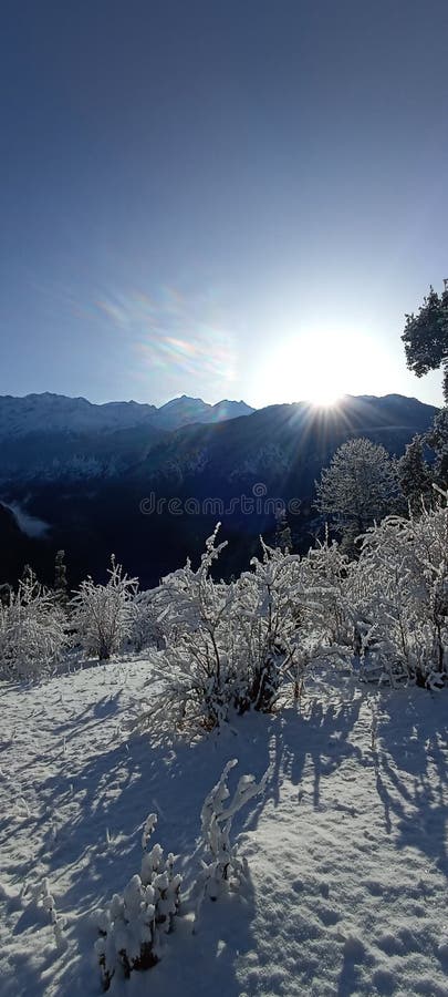 Sun Sunlight Ice Tree Mountain Stock Image - Image of mountain, moun ...
