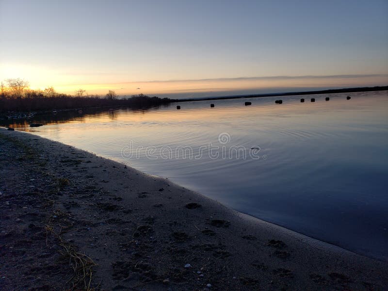 Water Trr Trees Stock Photos - Free & Royalty-Free Stock Photos from ...