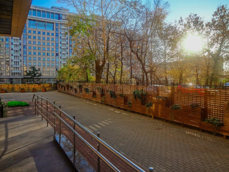 The Sun is at Sunset, the Fallen Trees are Preparing for Winter. the ...