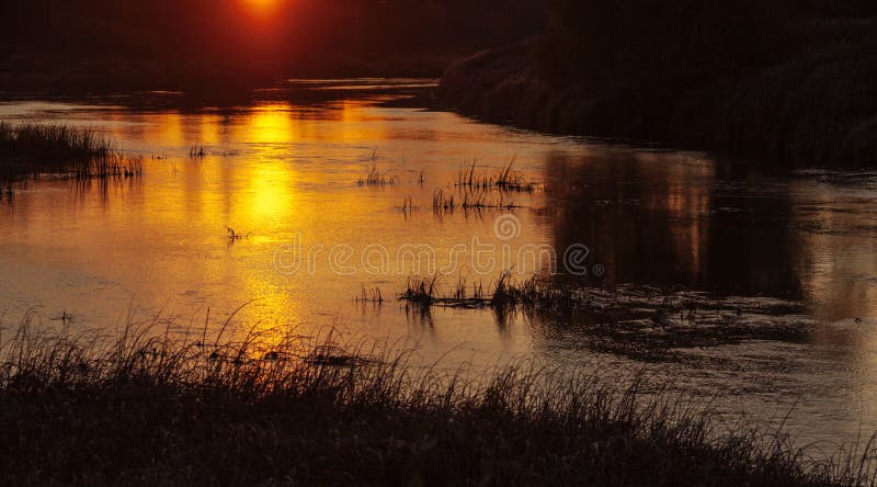 The Sun at Sunset is Reflected in the River Stock Image - Image of ...