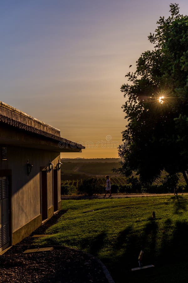 Sun through stock image. Image of portugal, scenario - 98365511
