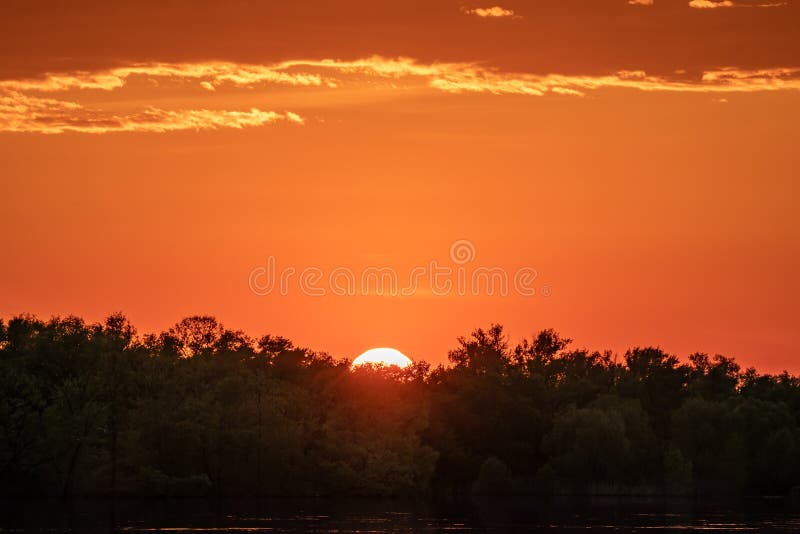 The Sun at Sunset Sinks Below the Horizon and Hides Behind the Trees on ...