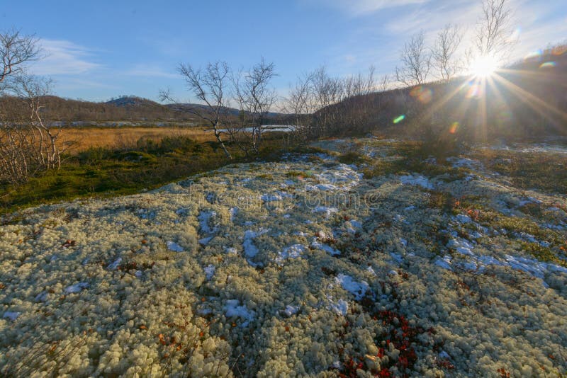The Sun and the Trail in the Tundra Stock Image - Image of tundra ...