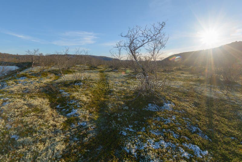 The Sun and the Trail in the Tundra Stock Photo - Image of polar ...