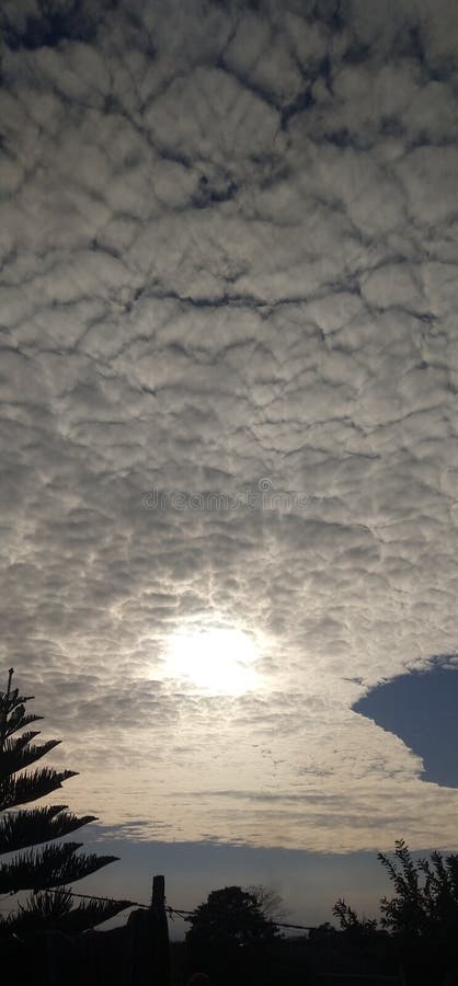 Sun set sky tree cloud stock photo. Image of sunlight - 156225572