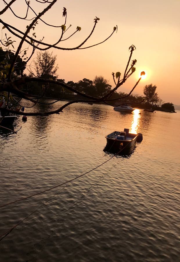 Sun, Tree and Fishing Boat on Lake at Sunset Stock Photo - Image of ...