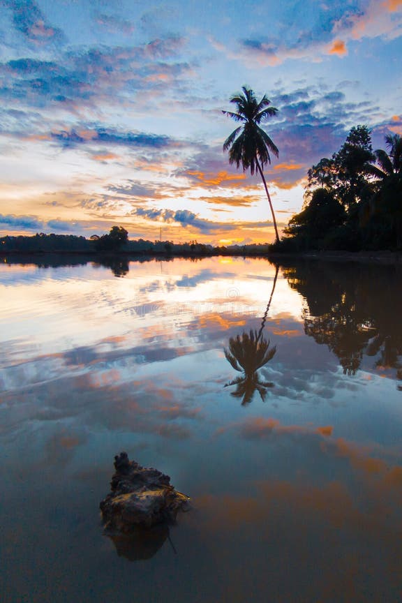 Sun and Tree in Lake in Morning Day Stock Image - Image of sunset ...