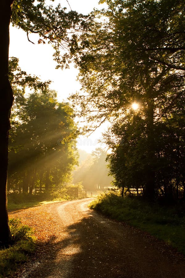 Old Country Dirt Road stock photo. Image of trees, road - 750724