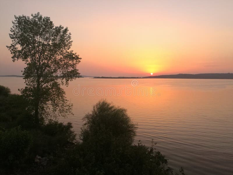 A sun with trees stock photo. Image of water, trees - 97074530