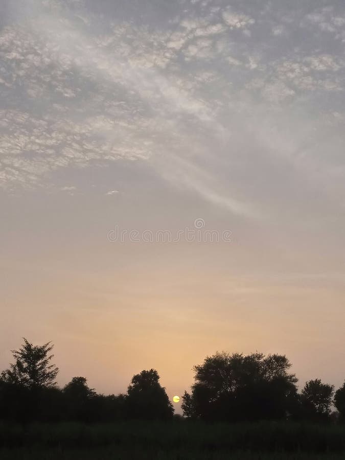 Sun between trees stock image. Image of haze, nature - 193512225