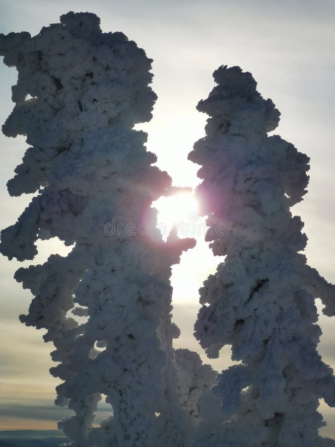 Snow pillars stock image. Image of condensation, vegetation - 13445111