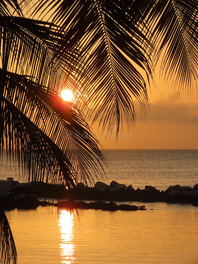 Sunset on a Beach in Tobago Stock Image - Image of tobago, nature ...