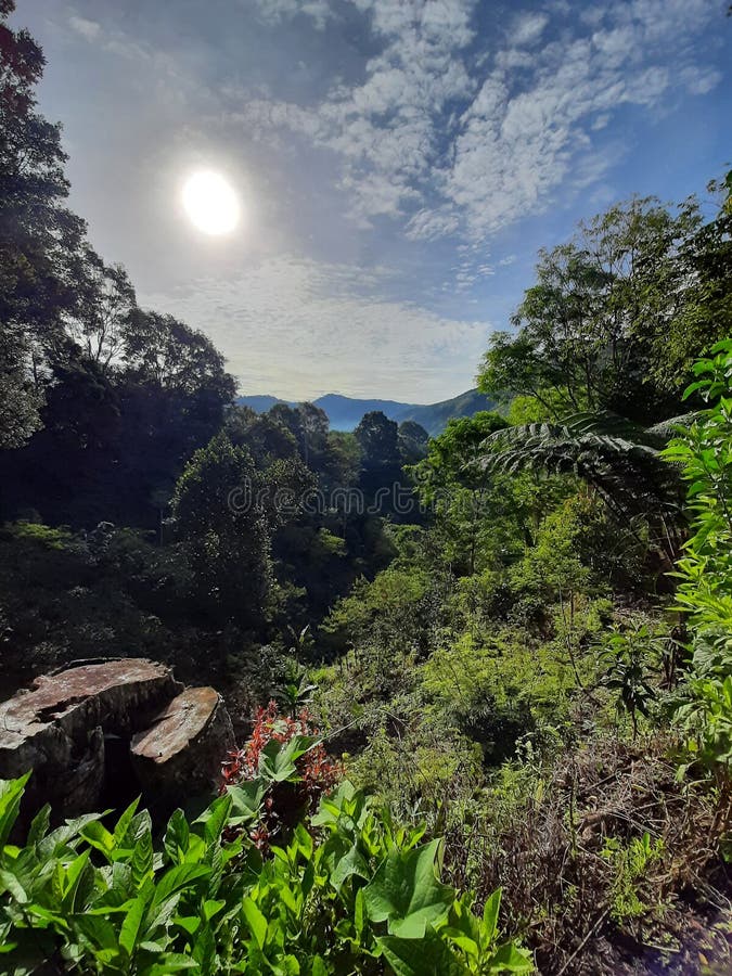 The Sun Was Shining Brightly into Deep of the Forest Stock Photo ...