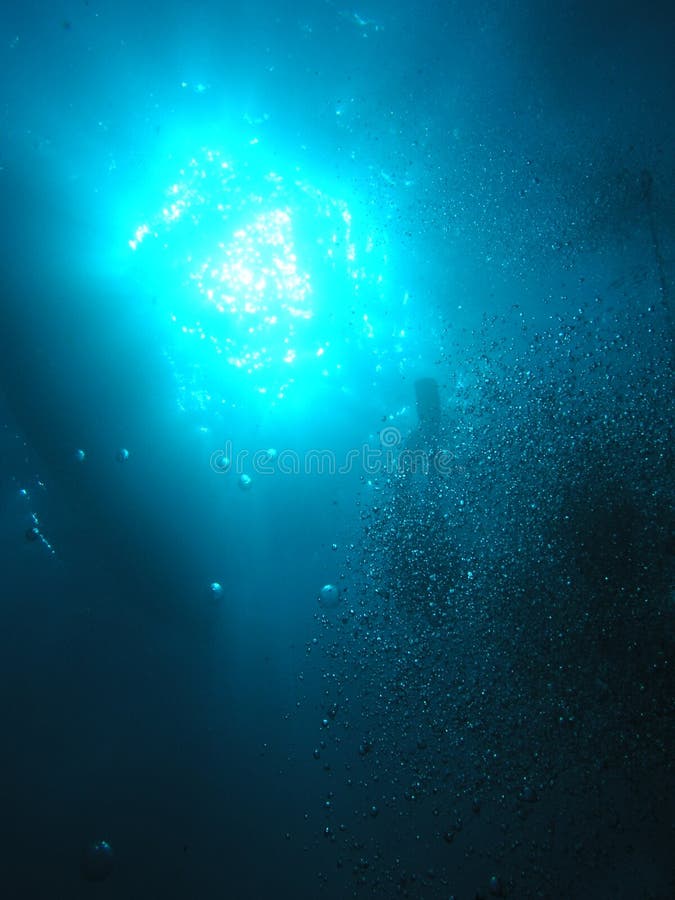 Hatchlings Scurrying To the Water during Olive Ridley Sea Turtle ...