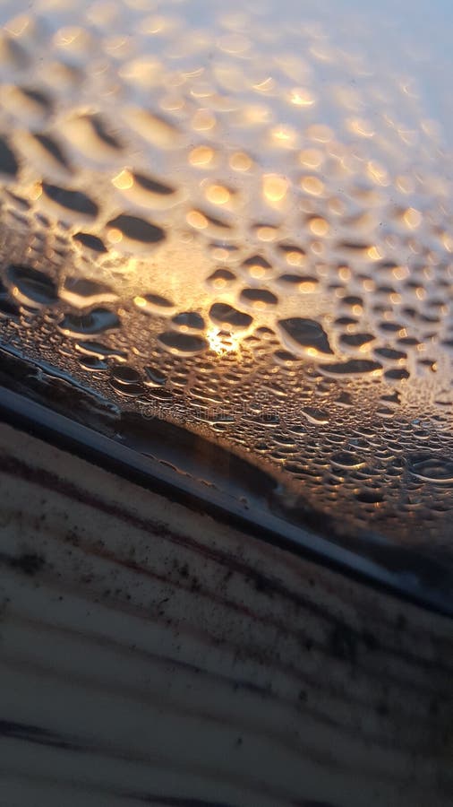 Sun water reflection drop stock photo. Image of leaf - 210395690