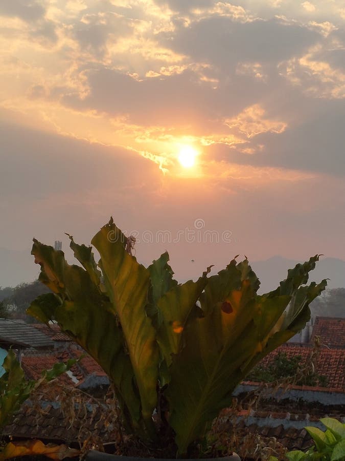 Earth rise stock photo. Image of fiction, unique, world - 36688104