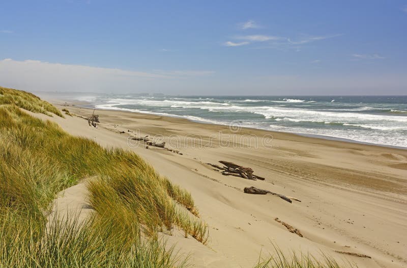Sun and Wind on the Pacific Coast Stock Image - Image of landscape ...