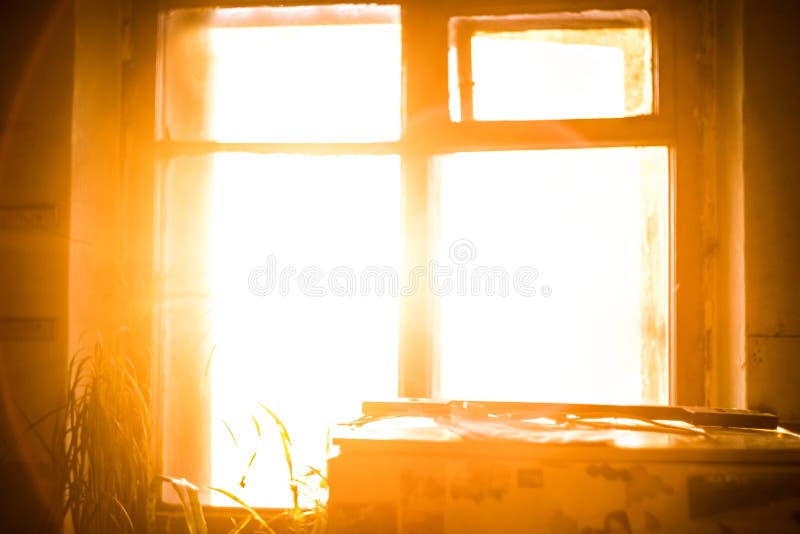 Sun of the window stock photo. Image of photograph, bright - 86472638