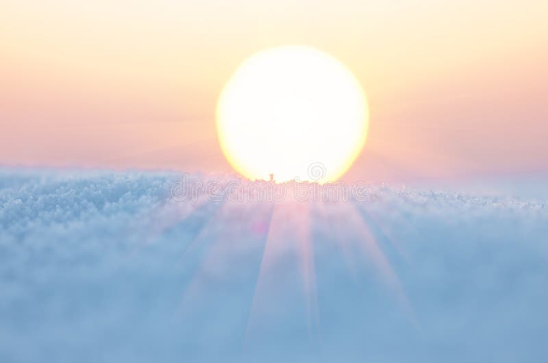 The sun in the winter stock image. Image of tree, snowy - 65279373
