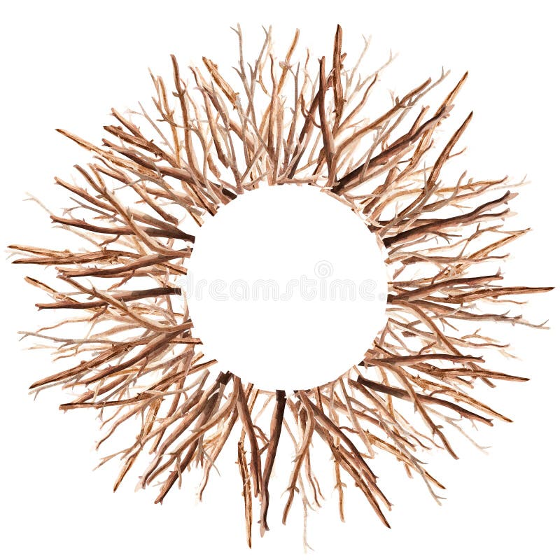 Sun Wreath of Tree Branches Illustration Border Frame Stock ...