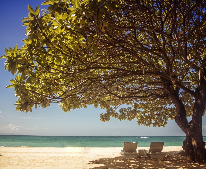 Sunbath under tree stock image. Image of lifestyles, relaxation - 32862773
