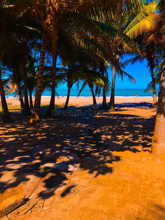 Brazil, Maceio, River Estuary Stock Image - Image of exotic, beach ...
