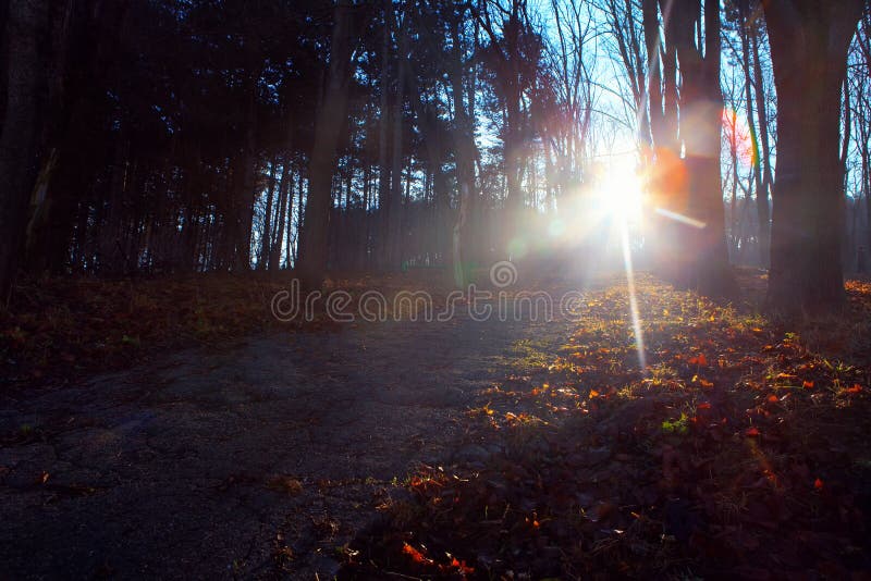 Sunshine and Path in the Park Stock Image - Image of mist, city: 172289669
