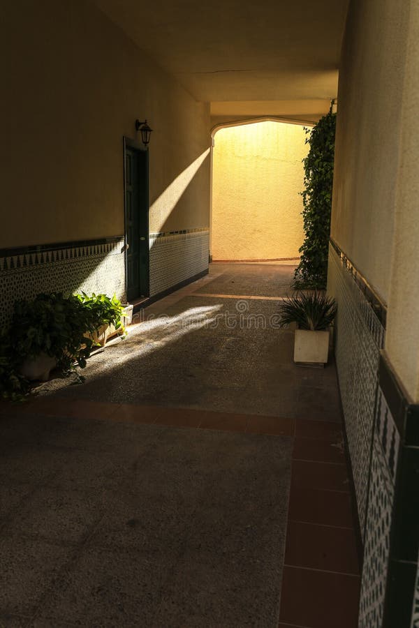 Sunbeam on a Plant in a Halfway of a House Stock Image - Image of ...