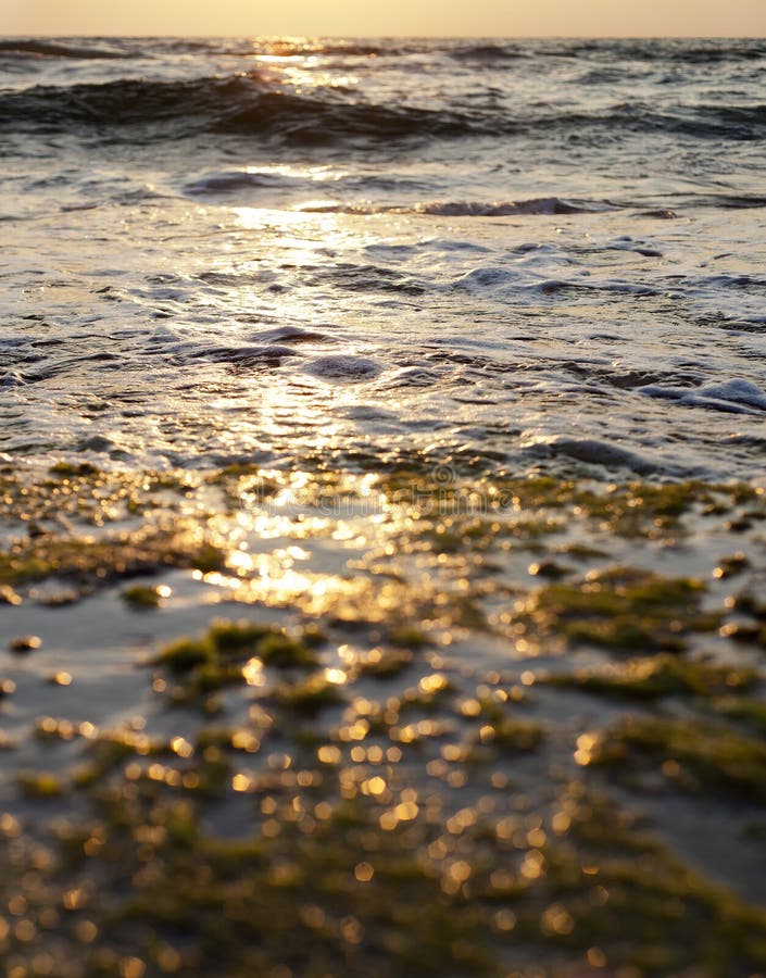 Burning Sunset stock photo. Image of action, point, level - 29821966