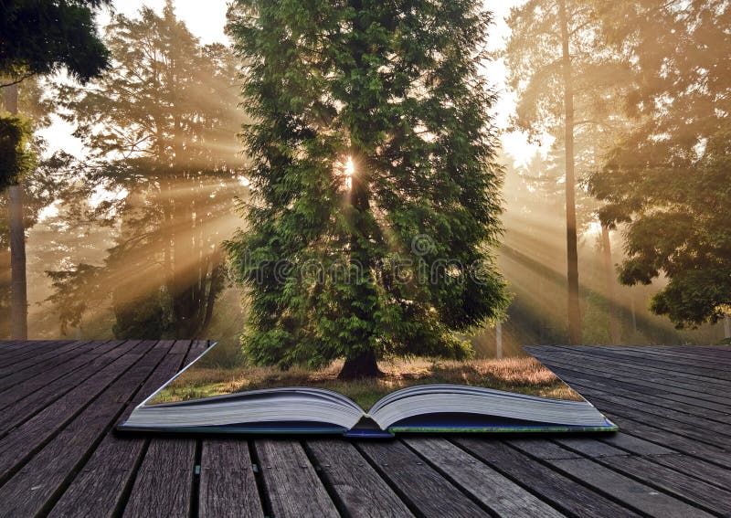 Autumn Fall Forest Landscape Magic Book Pages Stock Image - Image of ...