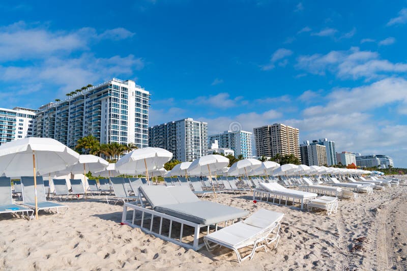 Sunbed at Summer Beach Vacation in Miami. Photo of Sunbed at Summer ...