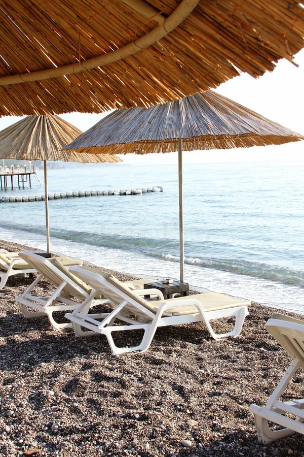 Sunbeds at the sea stock photo. Image of coast, leisure - 74376060
