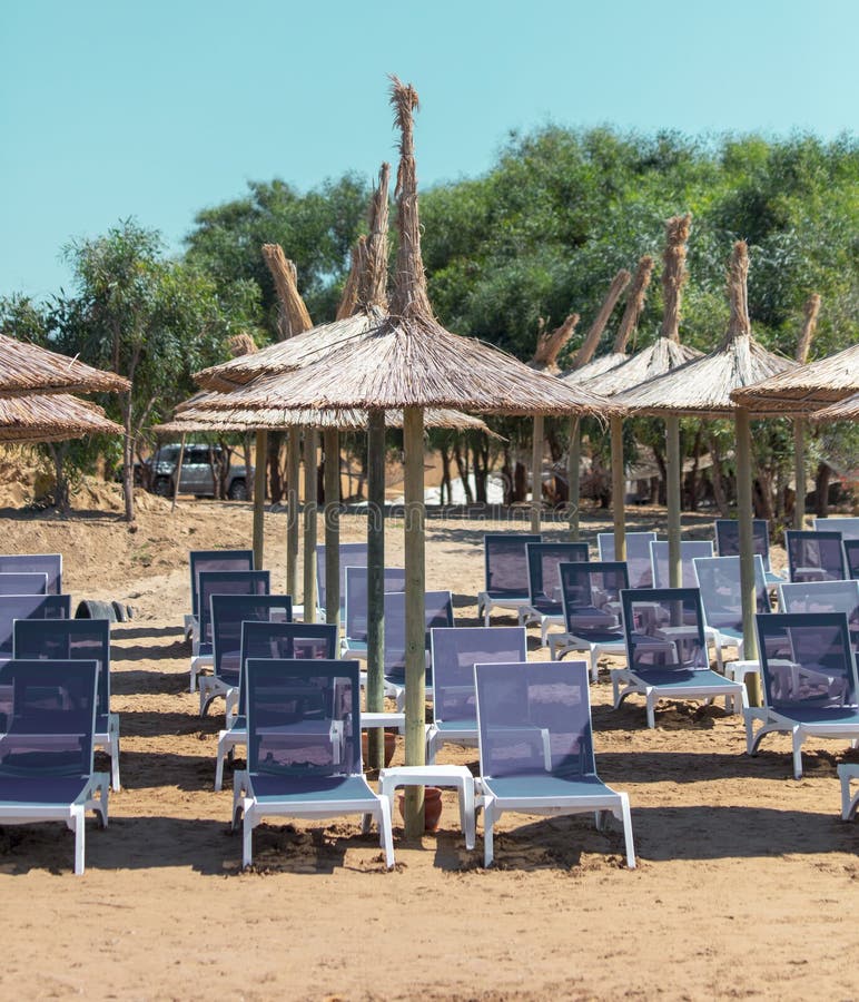 Sunbeds with Sun Loungers on the Beach Stock Photo - Image of beach ...