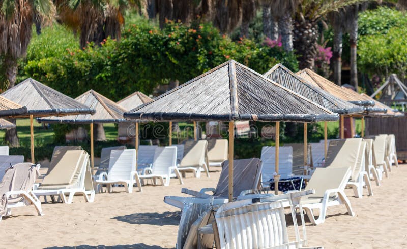 Sunbeds with Sun Loungers on the Beach Stock Photo - Image of brolly ...